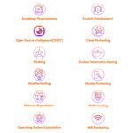 Certified Cyber Security Engineer [CCSE] - CWL : Advanced Cyber Attack ...